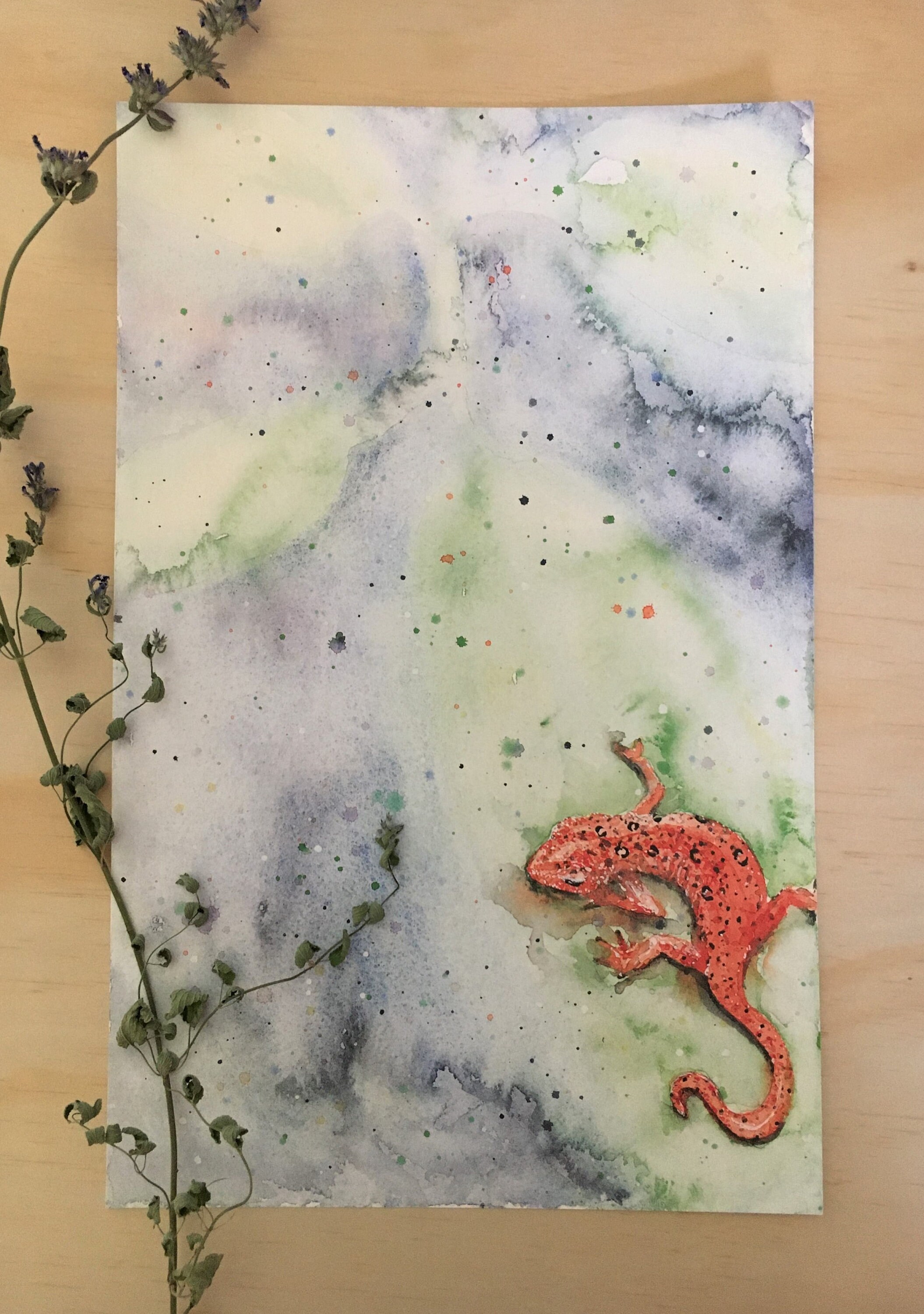 Watercolor Wildlife Art Print, Red Spotted Newt on a Wild Rose Leaf ...