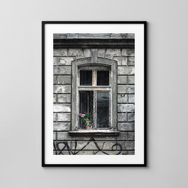 Window Photography - Etsy