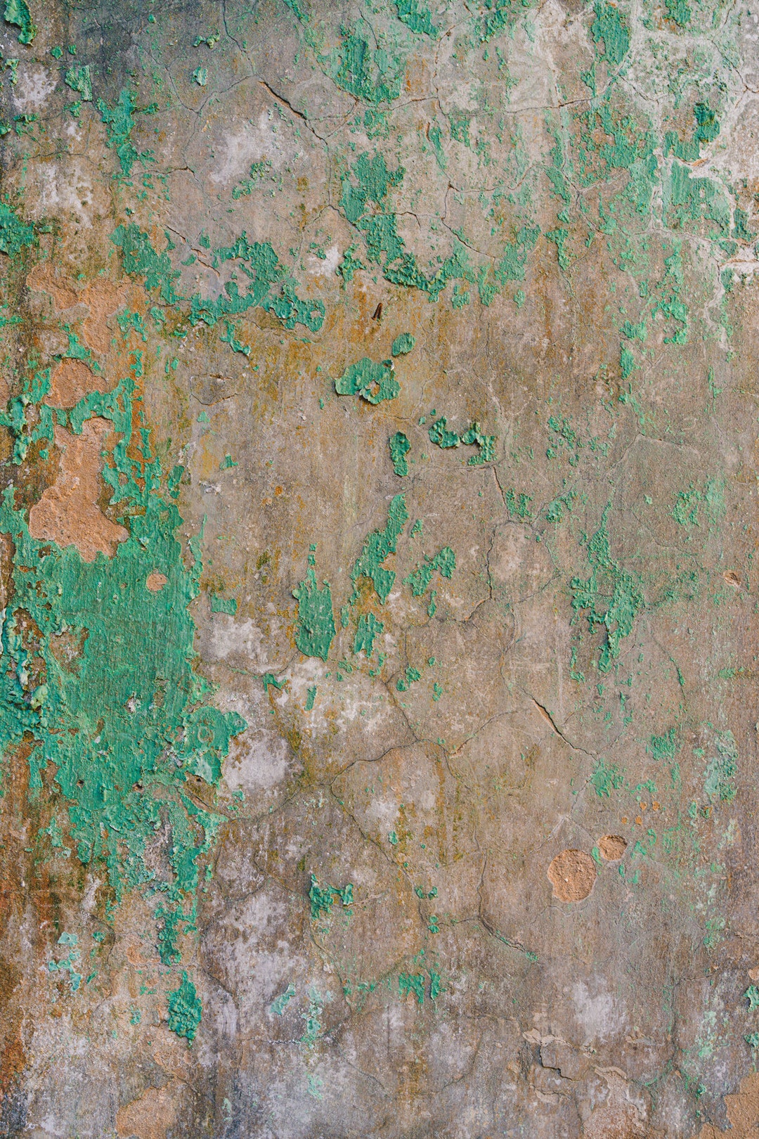 Texture on the Wall No.9813 / Urban Tissue / Fine Art Print / - Etsy UK