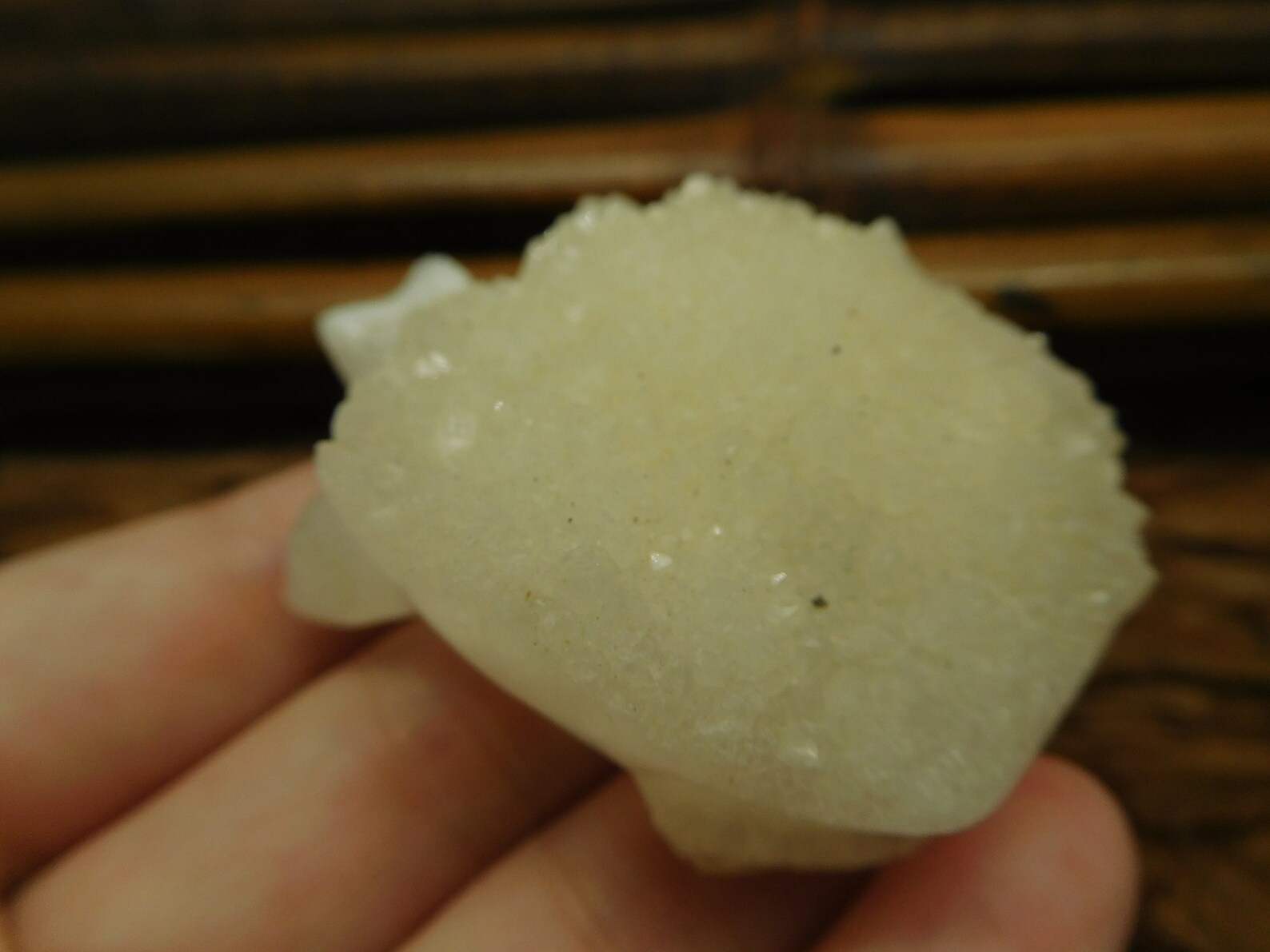 White Quartz Turtle. Carving Tortoise Pendant. Animal Craft. | Etsy