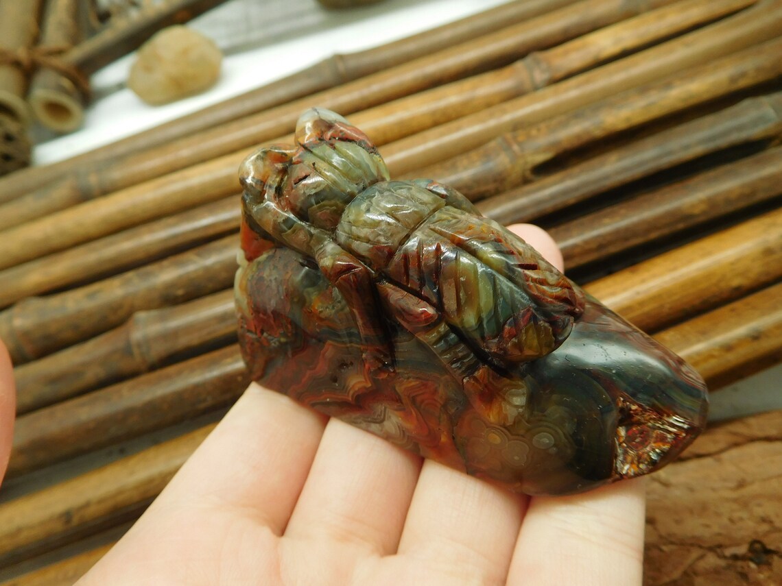 Crazy Lace Rosetta Handmade Mantis Shrimp Gemstone Decoration. - Etsy