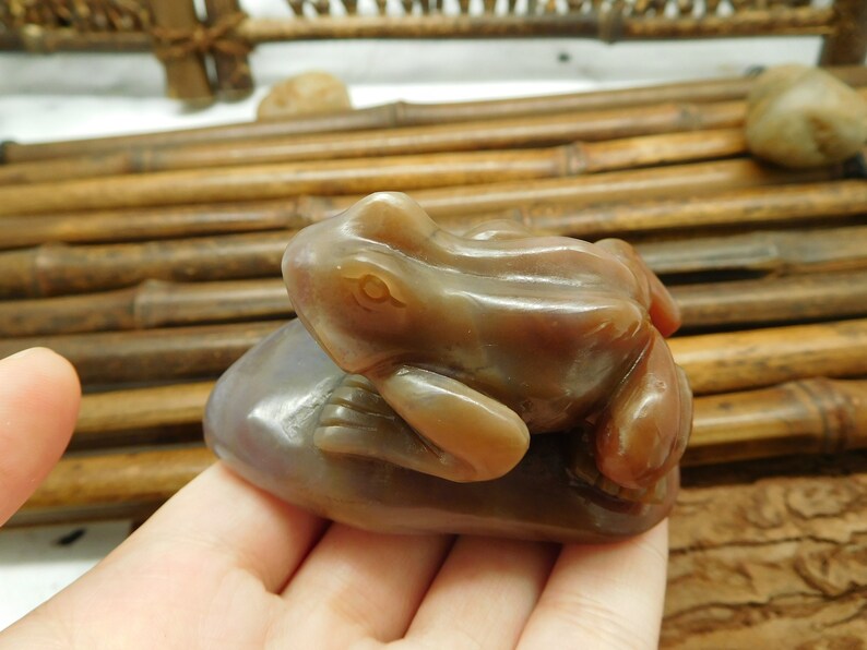 Indian Agate Gemstone Decoration. Frog Carving. Carving Animal | Etsy