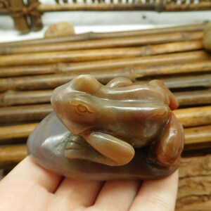 Indian Agate Gemstone Decoration. Frog Carving. Carving Animal Gemstone ...