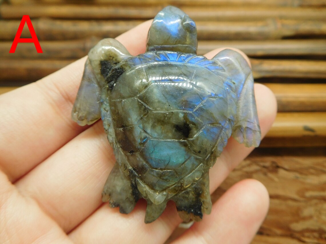 Carved Sea Turtle Pendant. Gemstone Carving. Amazonite Turtle Bead ...
