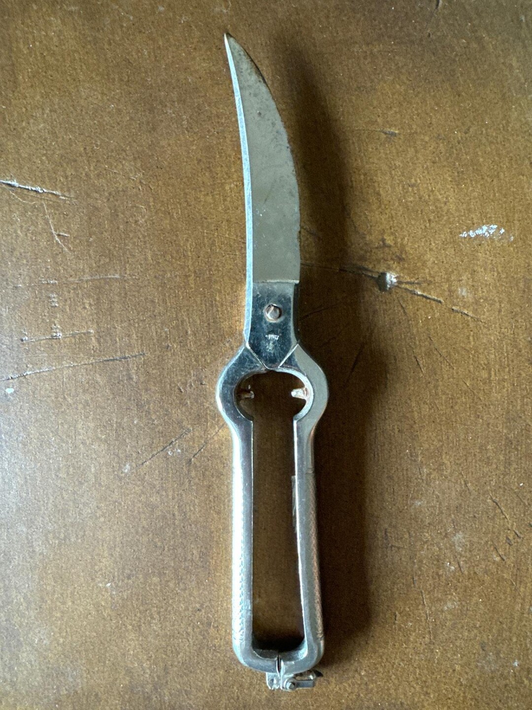 Vintage Poultry Kitchen Shears Made in Italy With Bird Emblem - Etsy