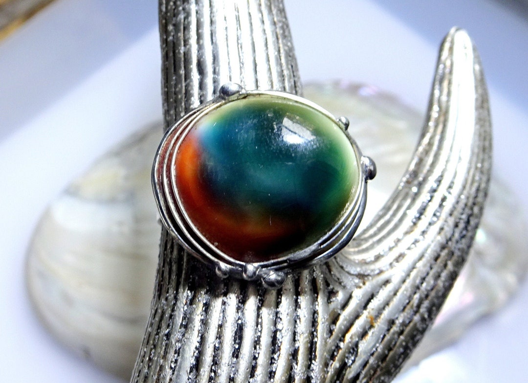 Impressive Ring Shiva Eye Shiva Eye Protective stone Operculum Shell ...