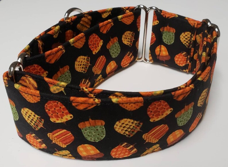 Ready to Ship. Acorn Collar, Fall Dog Collar, Martingale Collar. 2 Inch ...