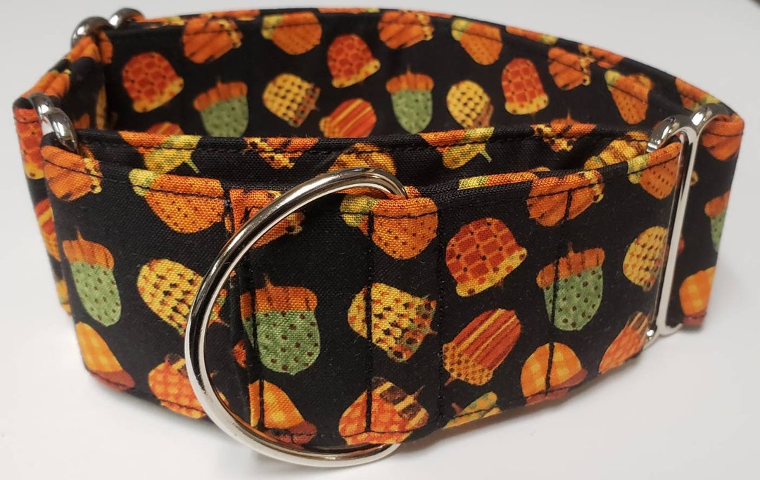 Ready to Ship. Acorn Collar, Fall Dog Collar, Martingale Collar. 2 Inch ...