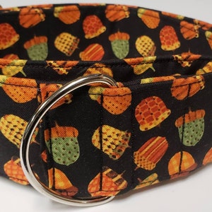 Ready to Ship. Acorn Collar, Fall Dog Collar, Martingale Collar. 2 Inch ...