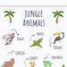 Interactive Learning: Jungle Animal and Alphabet Charts for Kids ...