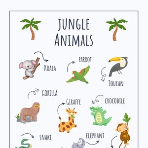 Interactive Learning: Jungle Animal and Alphabet Charts for Kids ...
