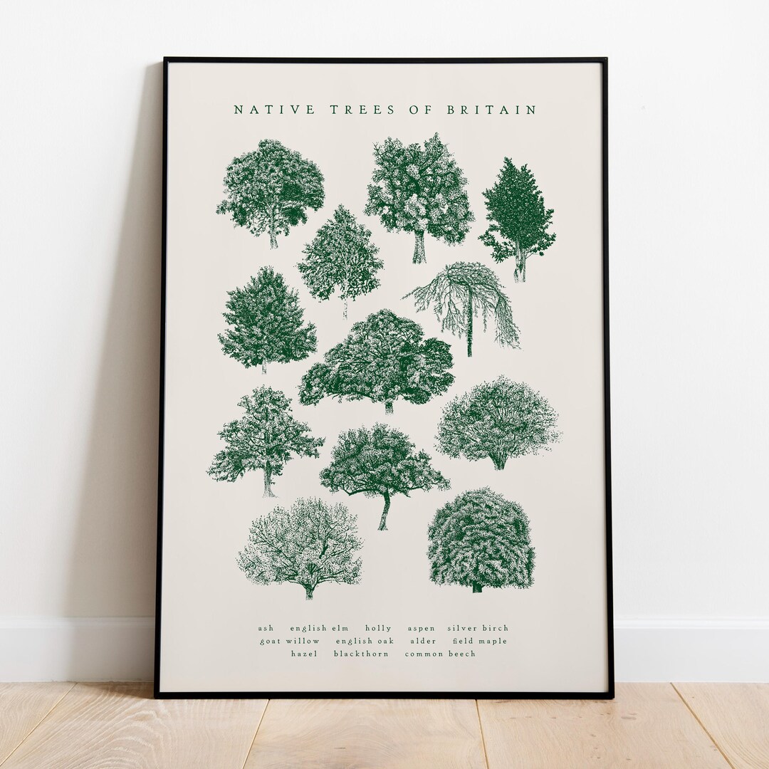 Native Trees of Britain A4 Art Print - Botanical Illustration - Etsy
