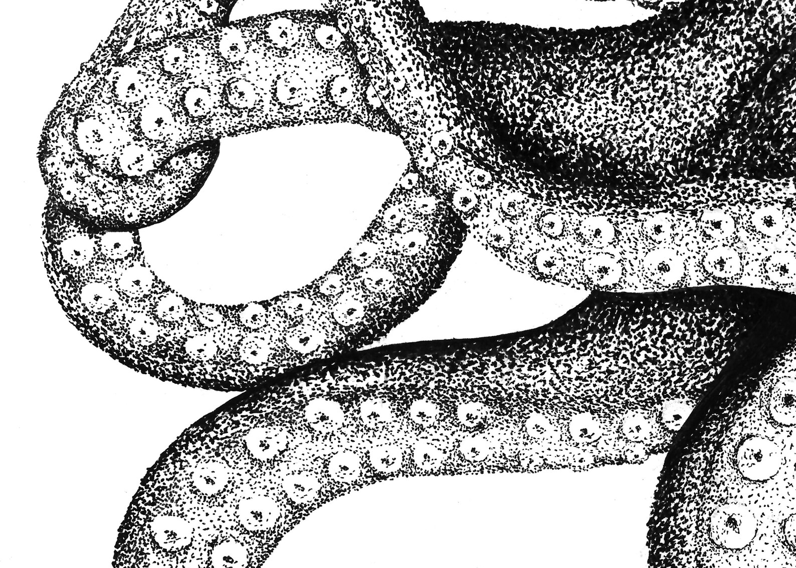 Octopus Dotwork Illustration Print - Etsy UK