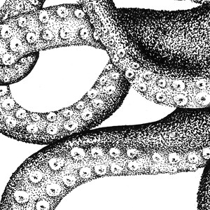 Octopus Dotwork Illustration Print - Etsy UK