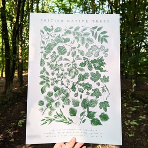British Native Trees A3 Art Print - Botanical Illustration - Etsy