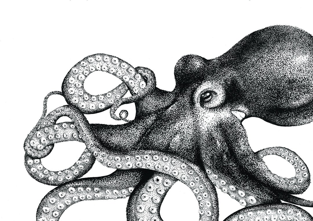 Printable 'dotwork Octopus' Wall Art / INSTANT DIGITAL DOWNLOAD - Etsy