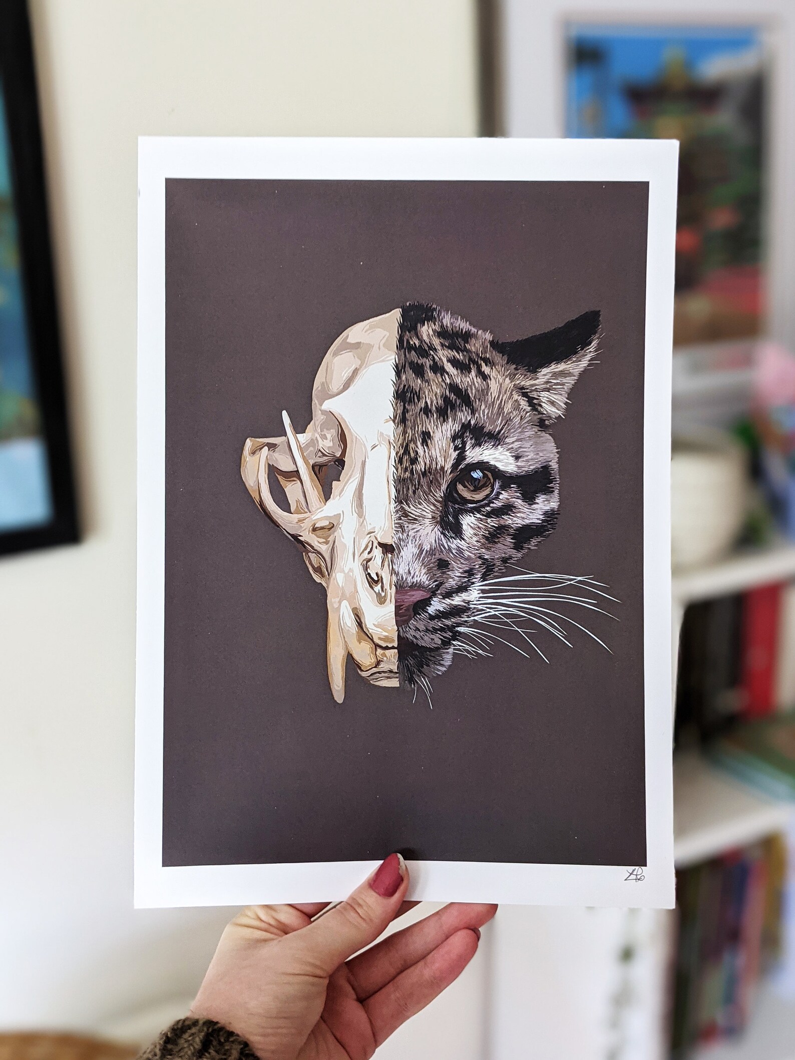 Clouded Leopard Skull Illustration Print | Etsy