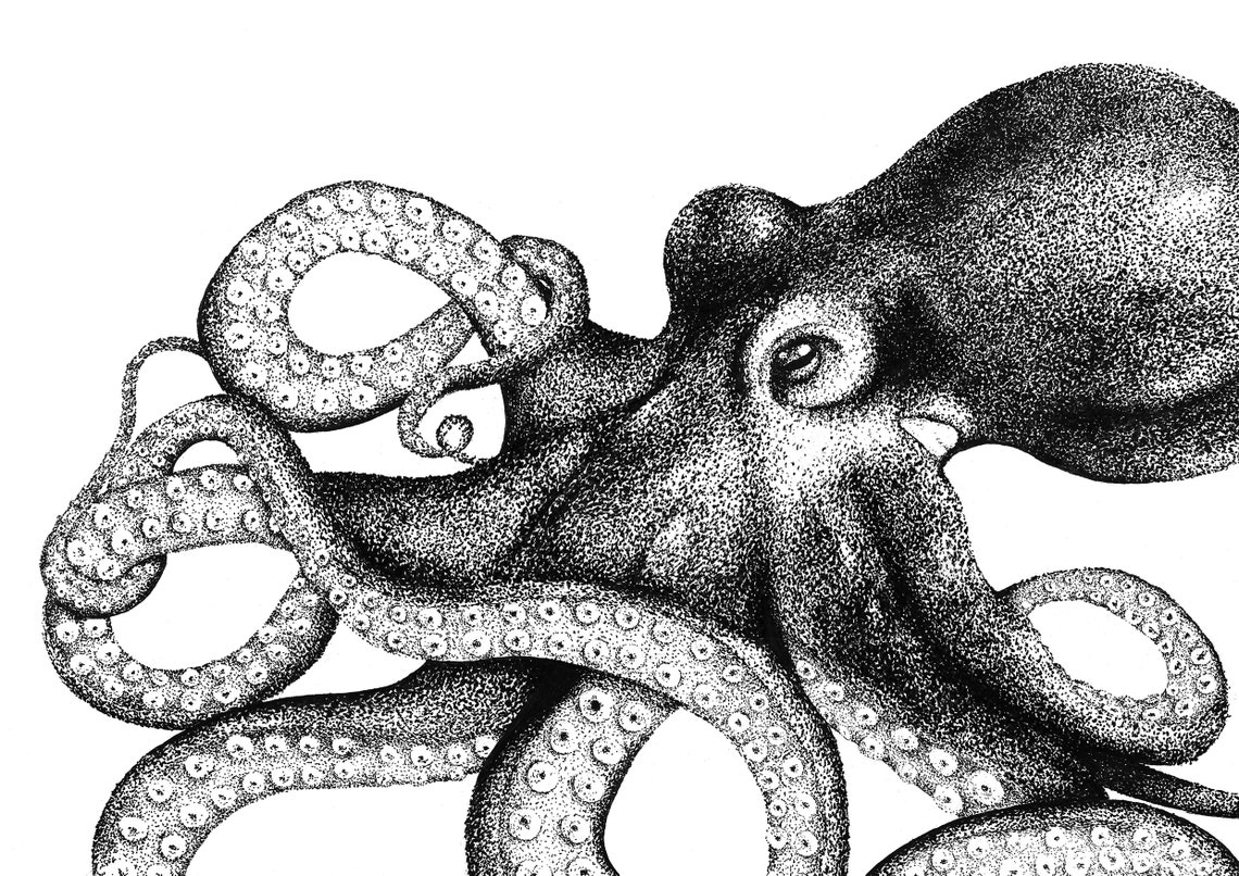 Octopus Dotwork Illustration Print - Etsy UK