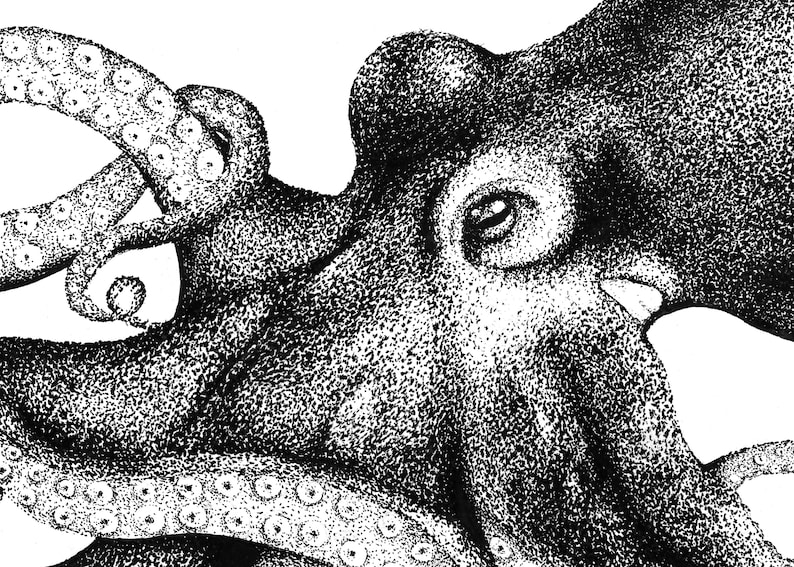Octopus Dotwork Illustration Print - Etsy UK