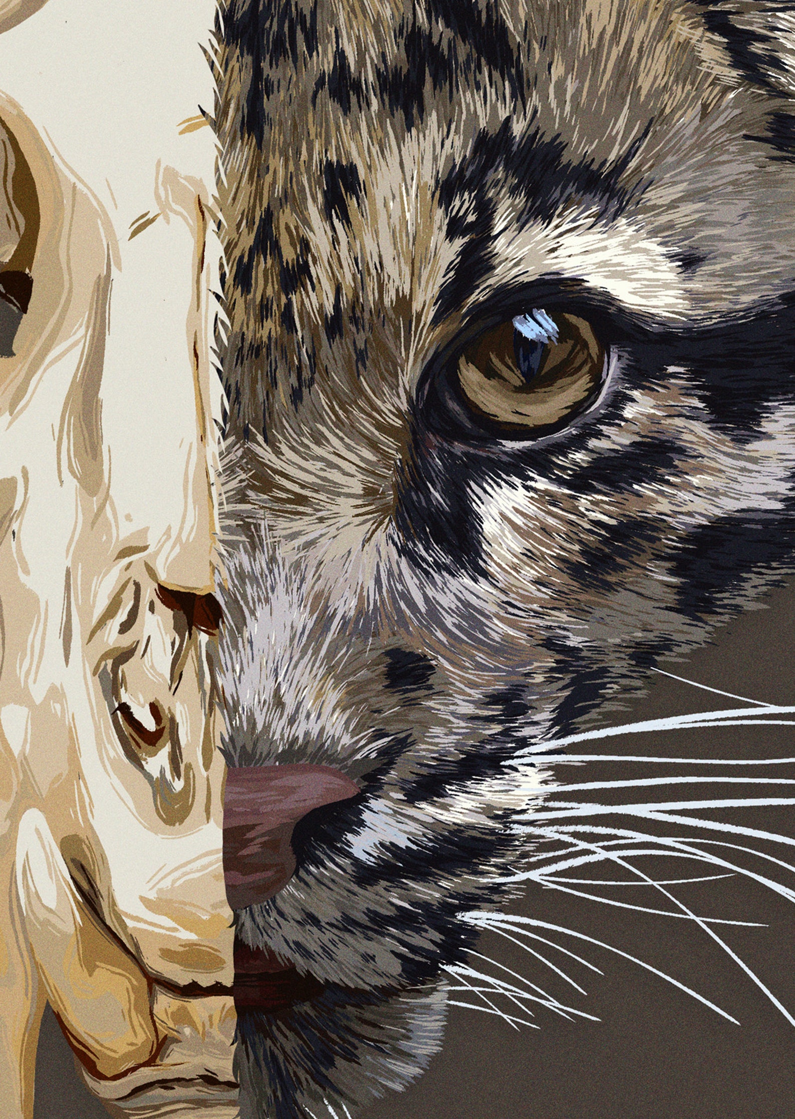 Clouded Leopard Skull Illustration Print - Etsy UK