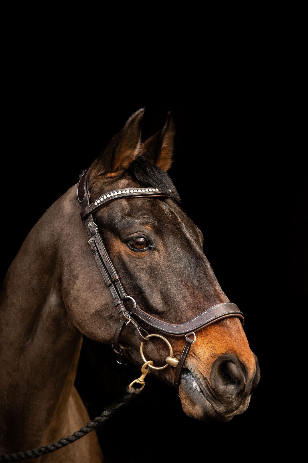 Equipride Anatomical Bridle Santa Fe With Anti-slip Rubber Reins Black ...