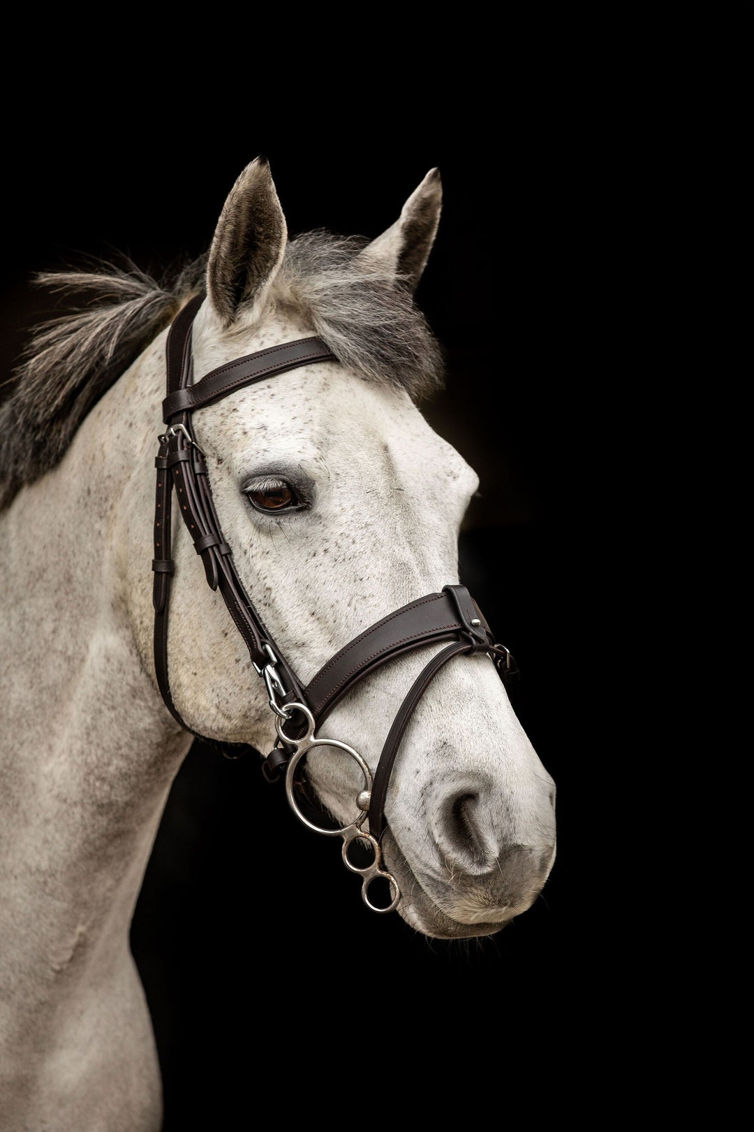 Equipride Working Hunter Bridle With Quick Release Snap Hooks Removable ...