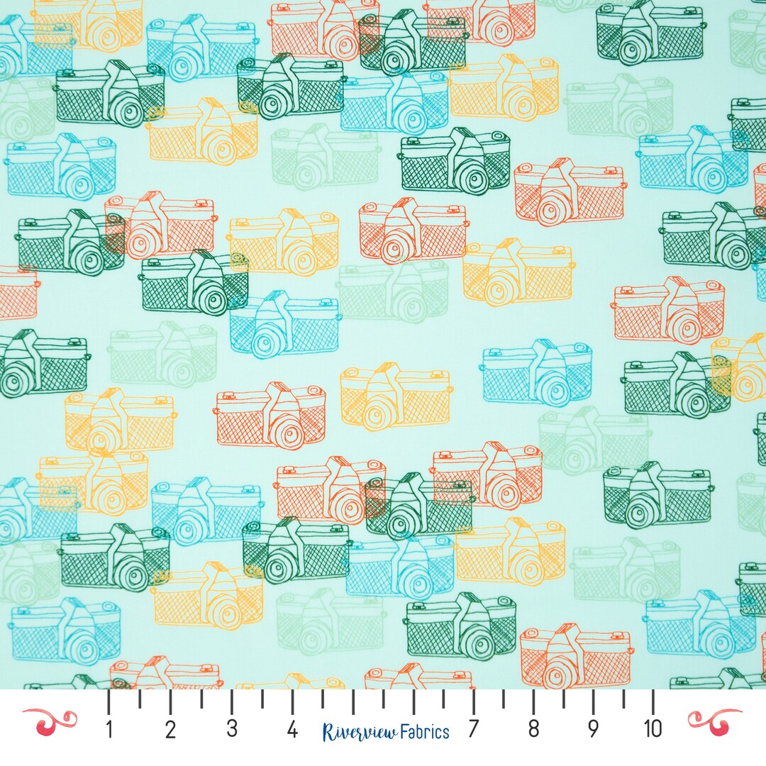 Cameras Fabric Remnant, Maara Collection, Art Gallery Fabrics, 100% ...