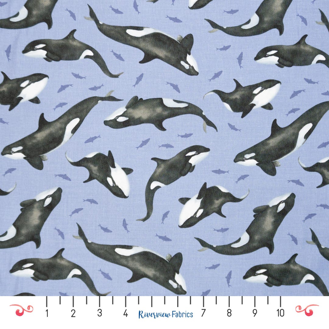 Orca Fabric by the Yard, Killer Whales, Polar Plungers Collection, Studio E Fabrics, 100% ...