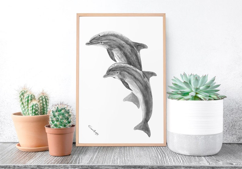 Dolphin Png, Dolphin Art, Dolphin Decor, Dolphin Print, Sea Animal ...