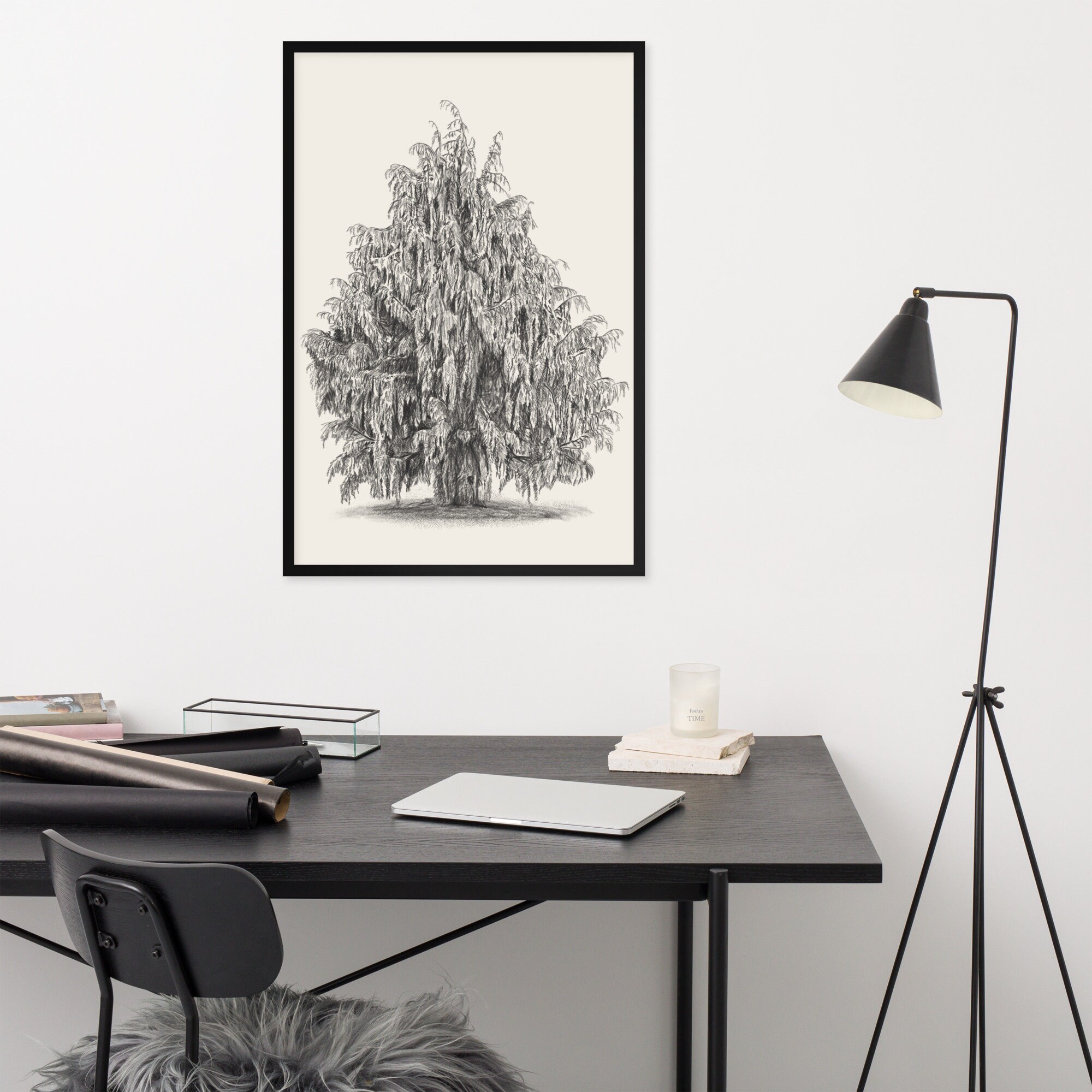 Cedar Tree, Vintage PNG Art, Printable Wall Art, Rustic Home Decor ...