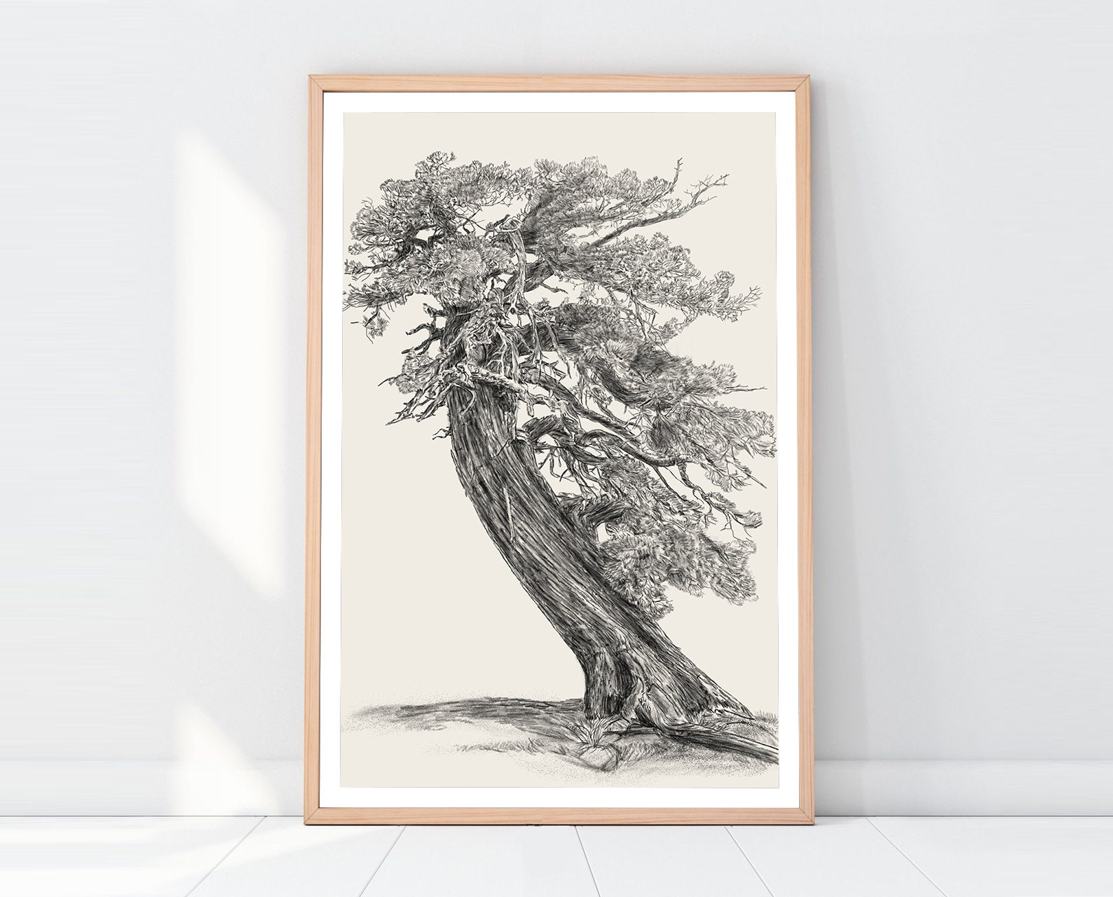 Set of 4 Cedar Tree Wall Art Pine Tree PNG Rustic Art Print Home Decor ...