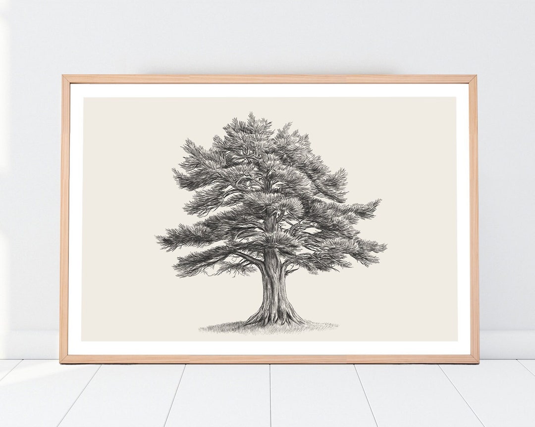 Cedar of Lebanon Printable Wall Art, Tree Art Print, Rustic Printable ...