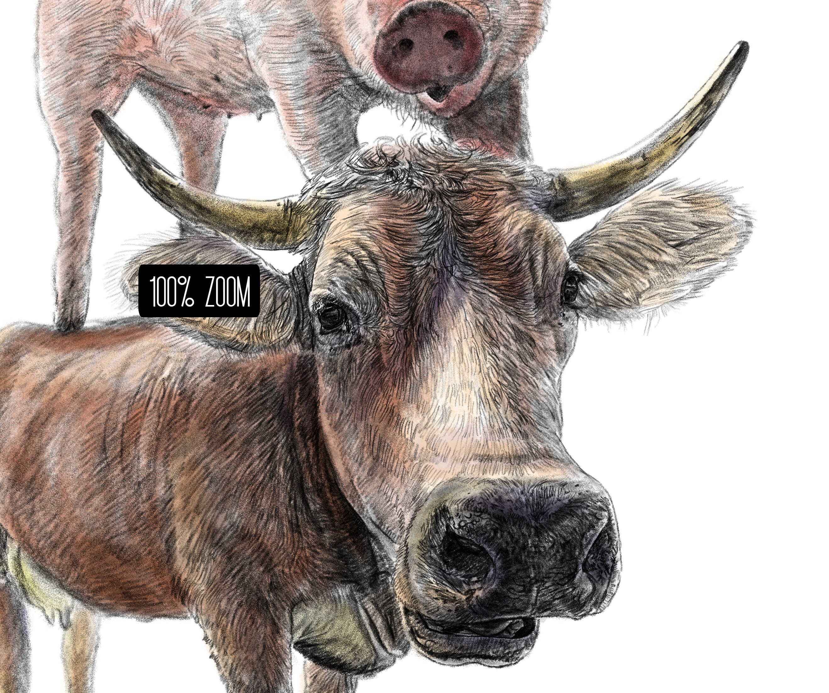 Cow Pig Chicken PNG Art Cow Pig Rooster Boho Wall Art - Etsy