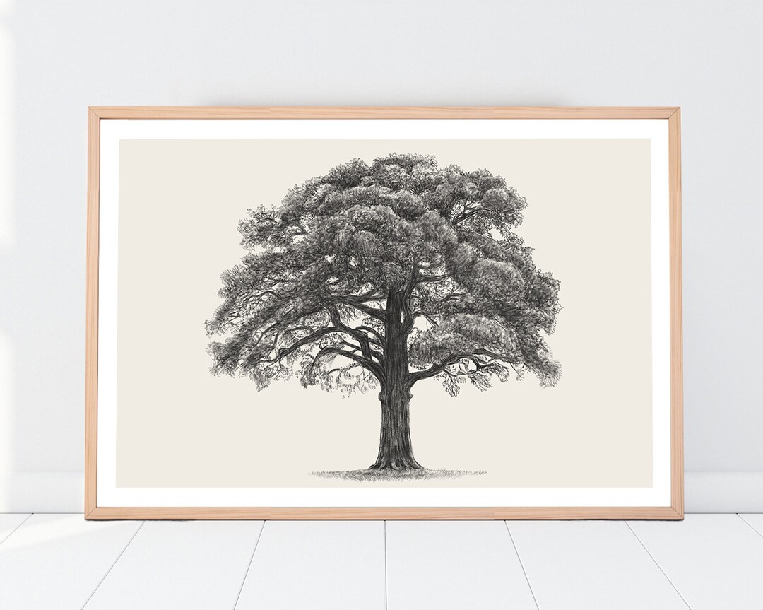 Oak Tree Png Digital Download, Home Decor, Oak Illustration, Botanical ...