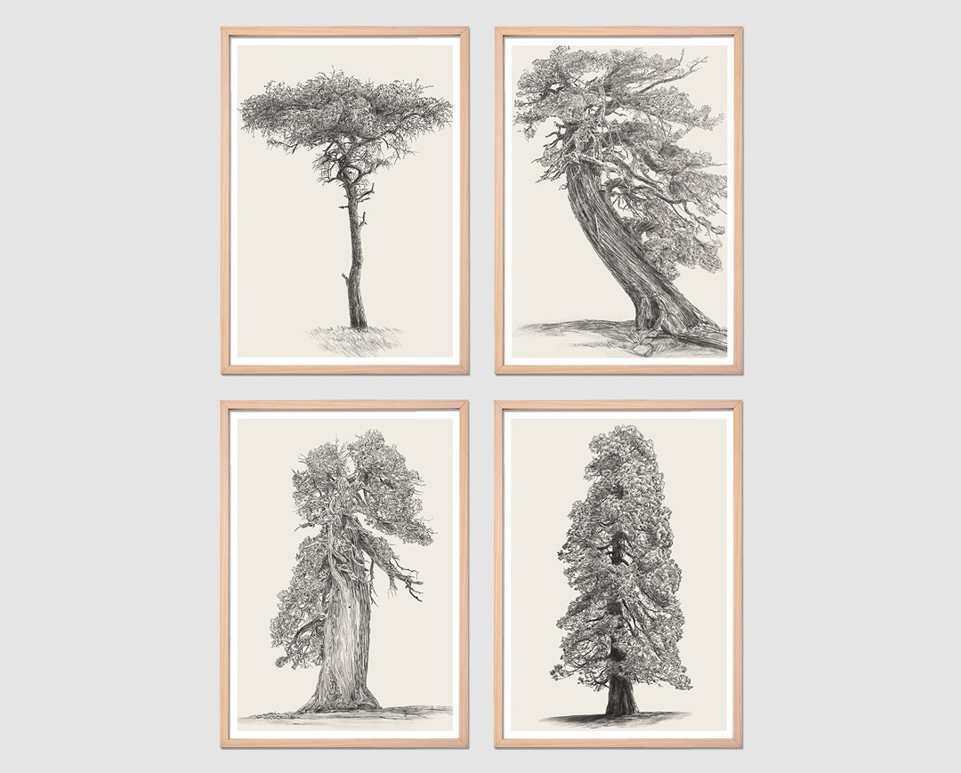 Set of 4 Cedar Tree Wall Art | Pine Tree PNG Rustic Art Print | Home ...