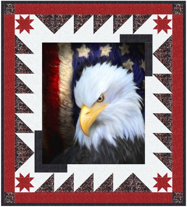 Quilt Kit Sewing Project Patriotic Eagle Easy Simple July | Etsy