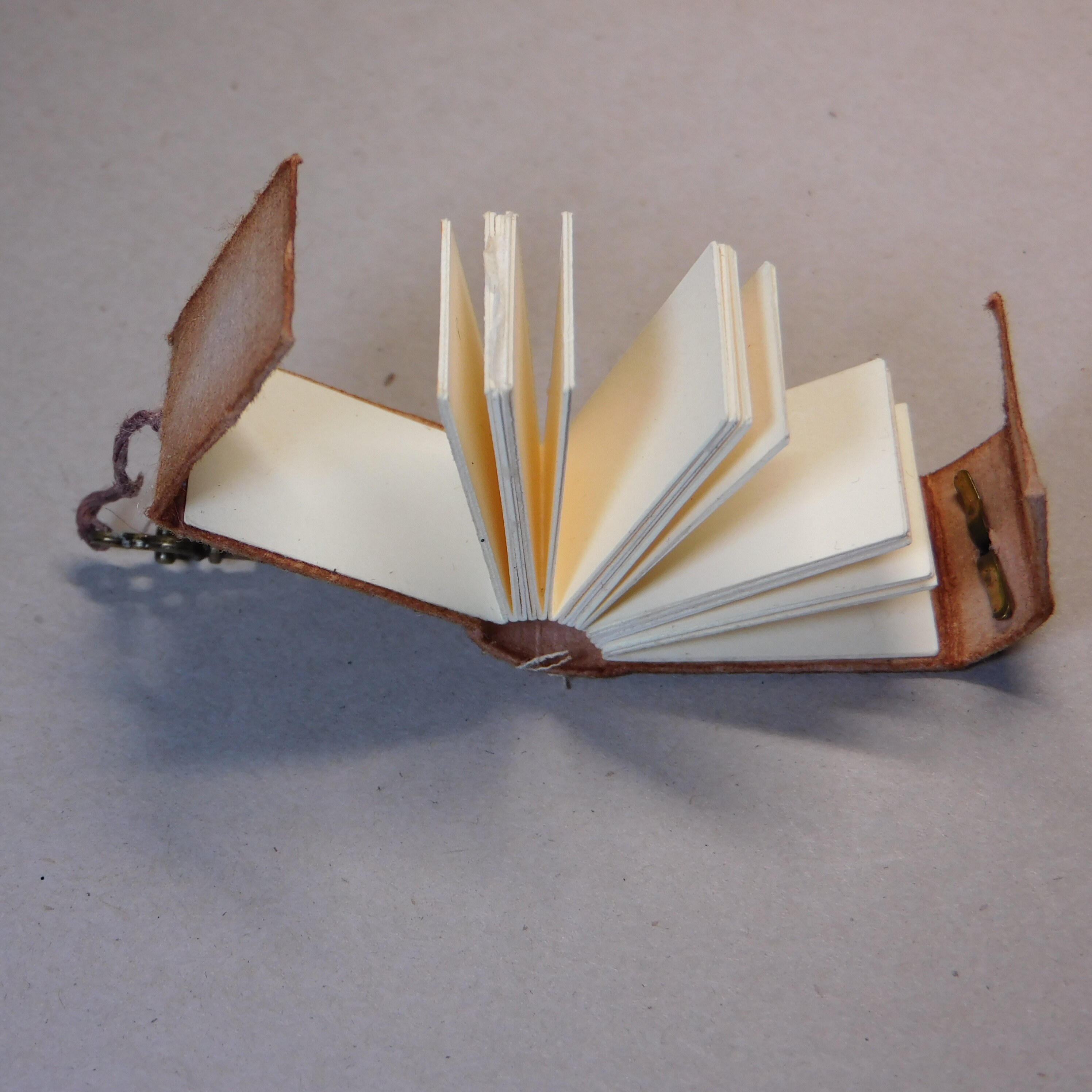 Micro Journal | Password Keeper | Galaxy Journal | Tiny Journals ...