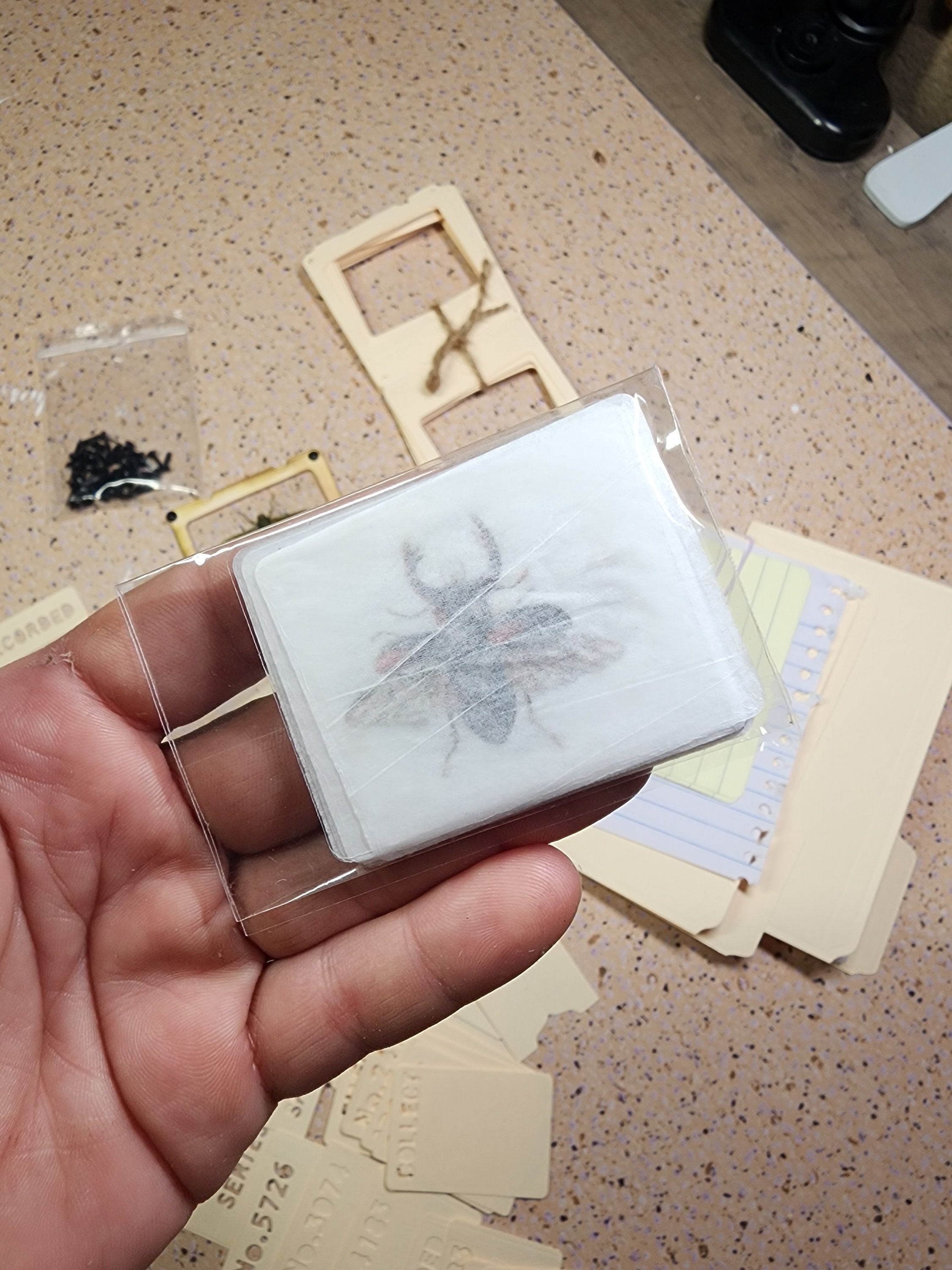 Specimen Entomology Display Craft Kit With Transparent Specimen Cards ...