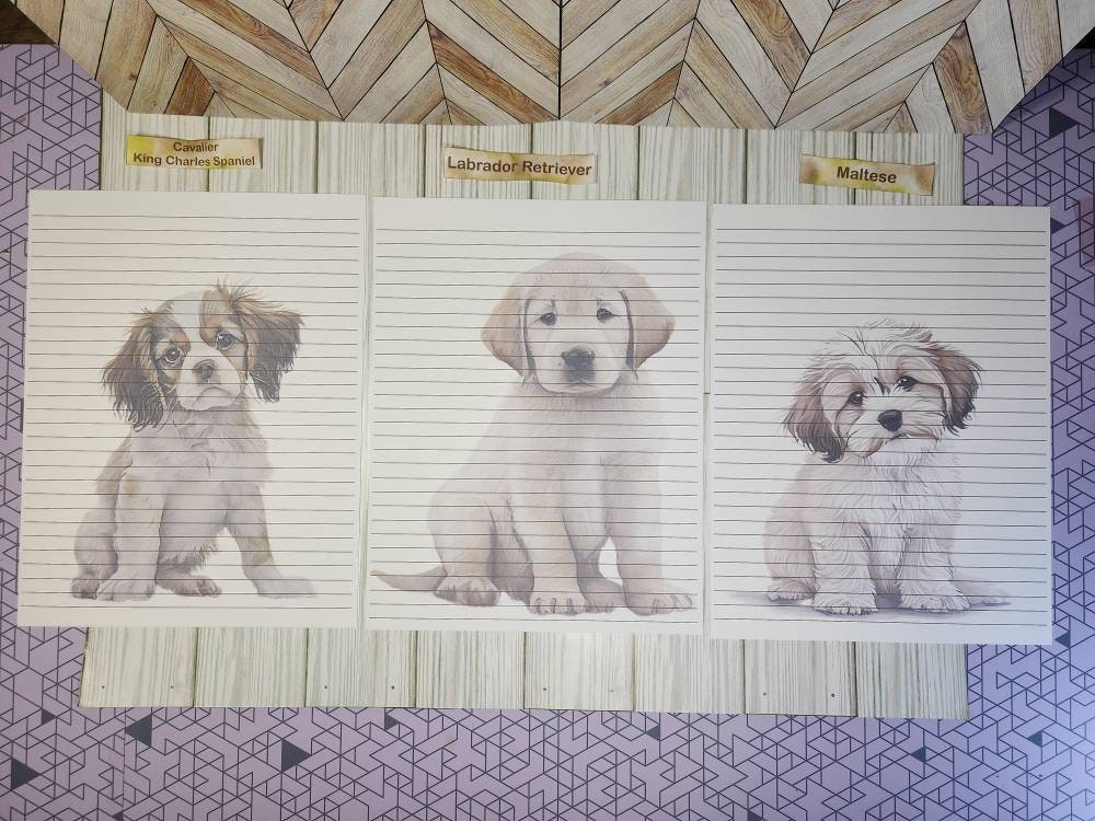 Lined Puppy Paper | Dog Paper | Lined Paper | Scrapbook Paper | Lined ...