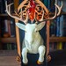 Lord of the North Stag of Terrasen Book Nook - Etsy