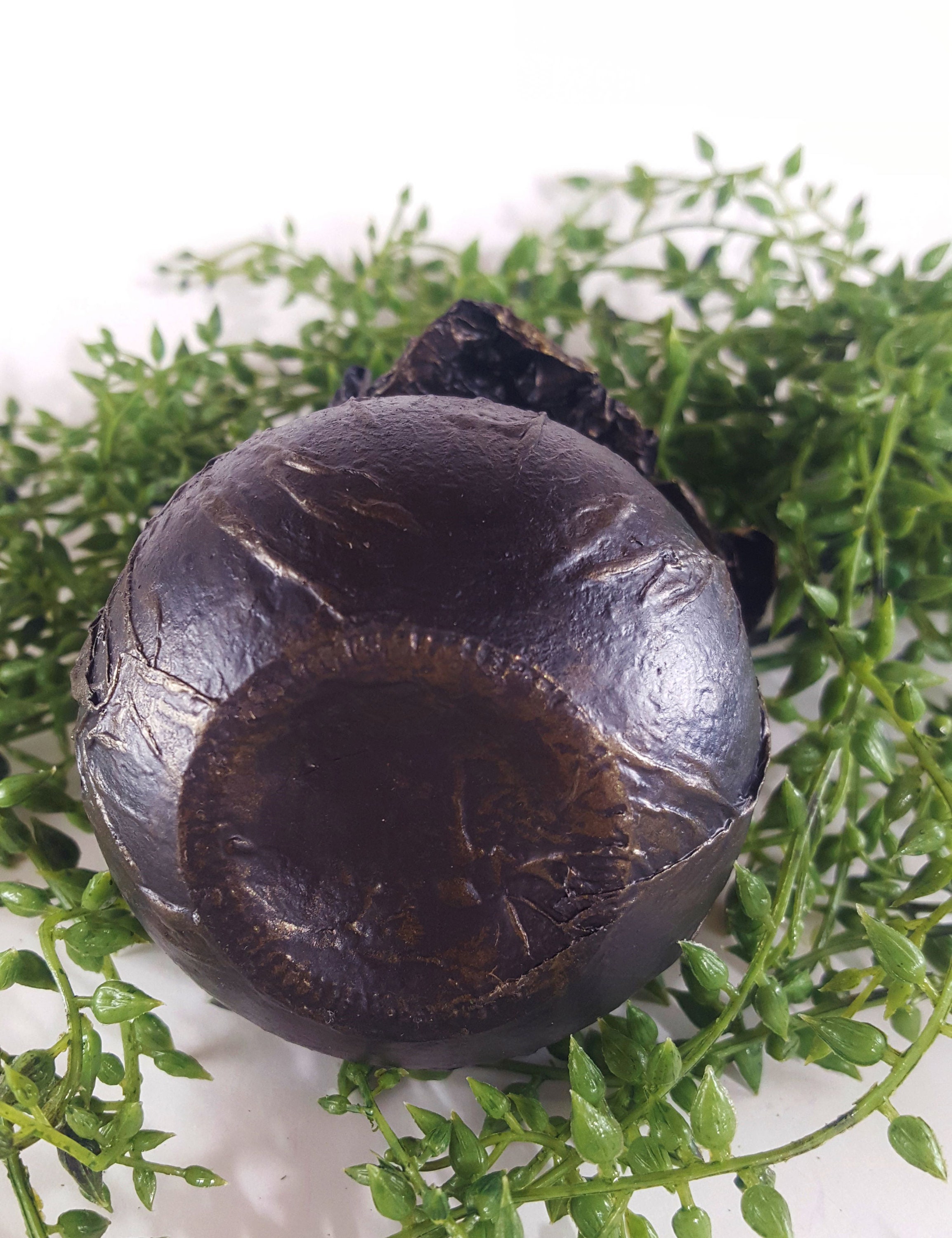 Bird Skull Potion Bottle - Halloween Decor - Black Magic Potion Bottle ...