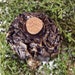 Bird Skull Potion Bottle - Wizard Potion Bottle - Cosplay Bottle - LARP ...