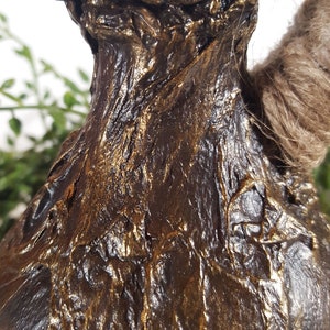 Brown Oil Pitcher Potion Bottle - Kitchen Decor - Wizard Potion - Magic ...