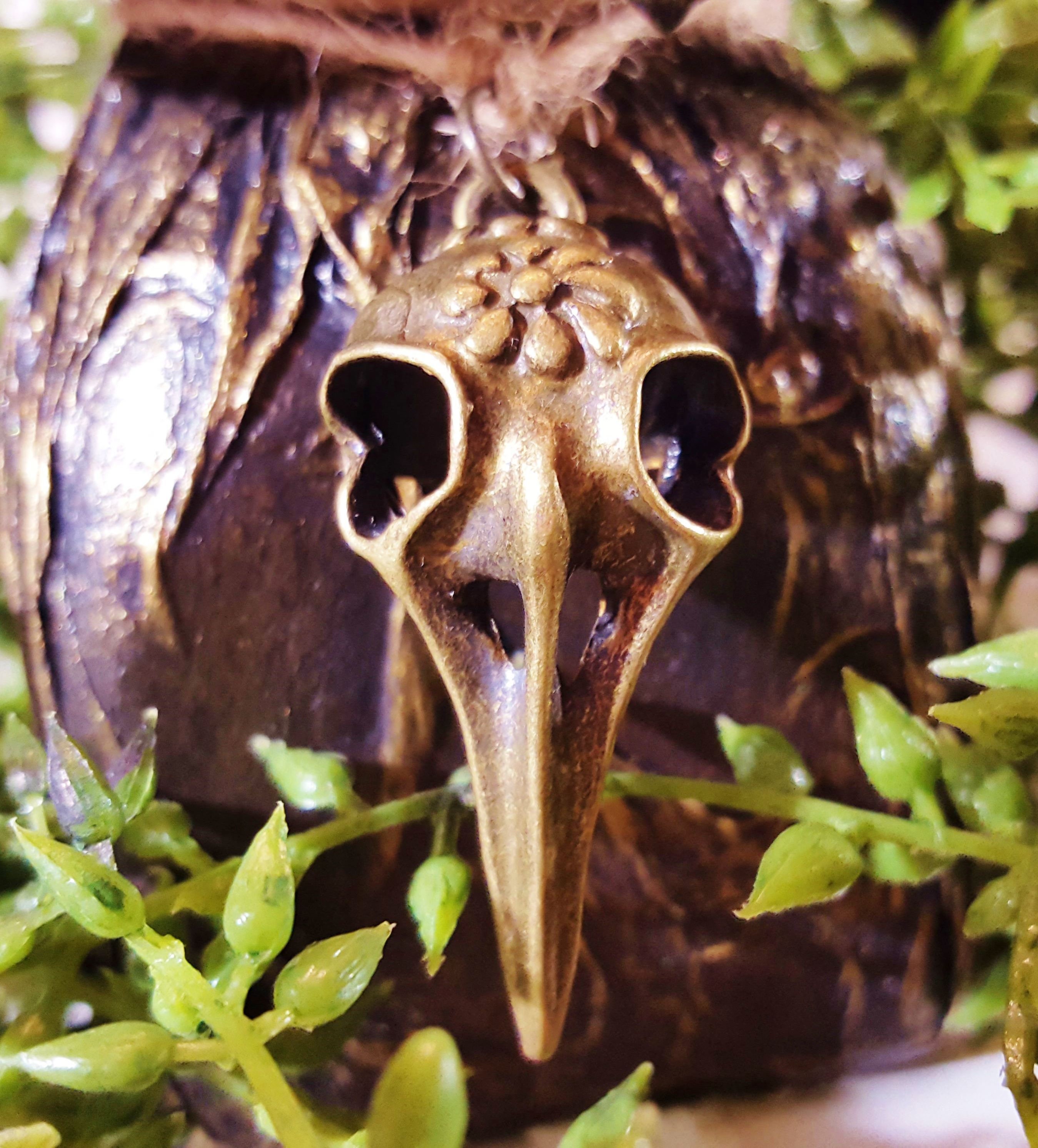 Bird Skull Potion Bottle - Wizard Potion Bottle - Cosplay Bottle - LARP ...