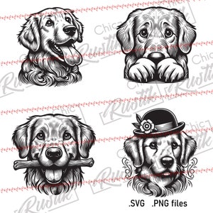 Golden Retriever SVG PDF and PNG, 4 Golden Vector Design for Laser ...