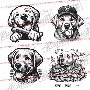 Labrador Retriever SVG PDF and PNG, 4 Labrador Vector Design for Laser ...