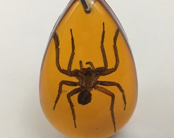 Spider Necklace - Etsy