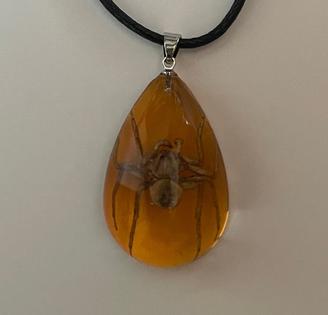 Real Spider Necklace Taxidermy Jewelry Insect Pendants - Etsy