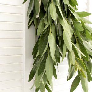 Fresh Cut Bay Leaf Greens - 8 - 10 Stems for Arrangement | Bouquet ...
