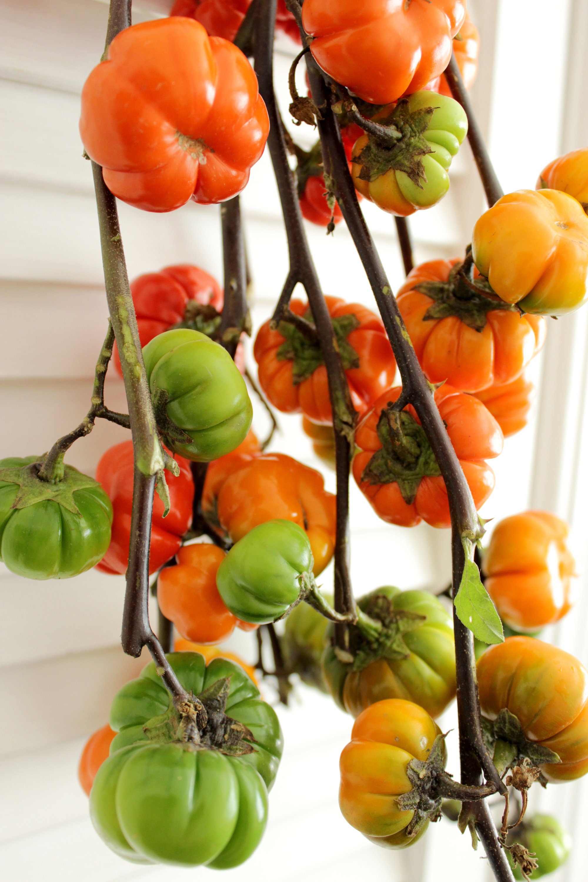 Fresh Cut Pumpkin Tree Branches 4-5 Stems Pumpkin on a - Etsy